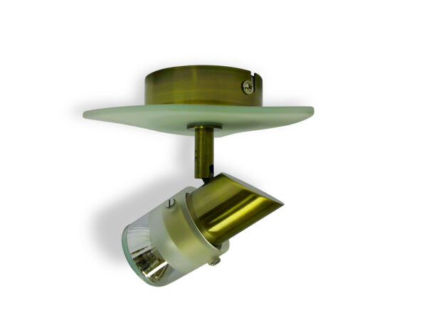 Stingray Single Spotlight with Glass Shade - Lighting Bay